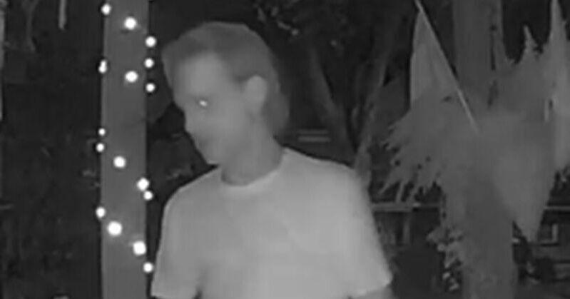 Update Man Reportedly Performing Indecent Acts In Torontos