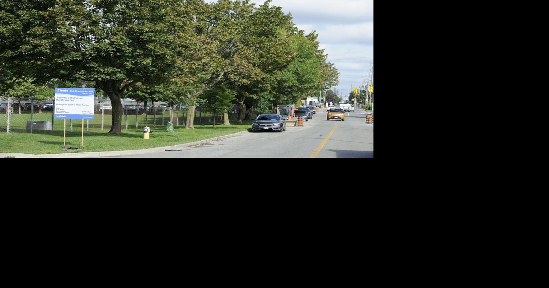 Mature Mimico trees to fall for new sidewalk | Council | toronto.com