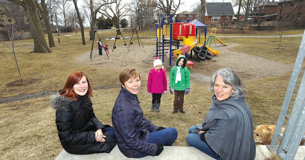 Buy a pumpkin, build a playground