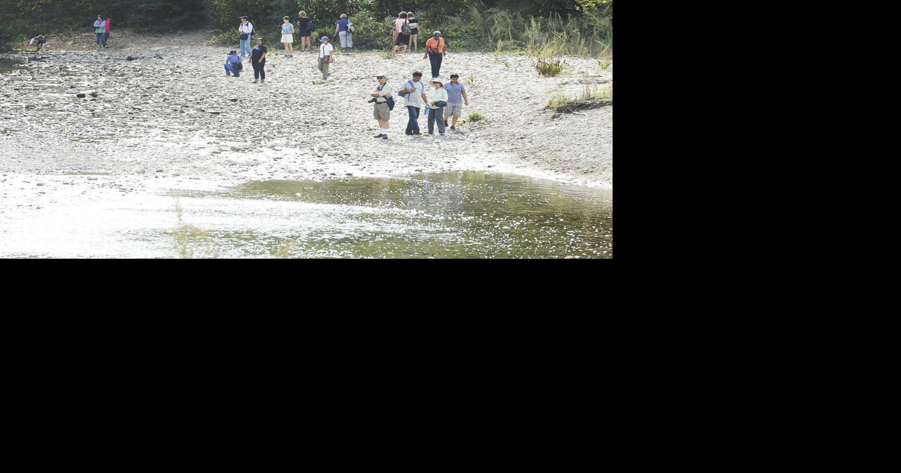 5 fun things to do at Scarborough’s Highland Creek Salmon Festival