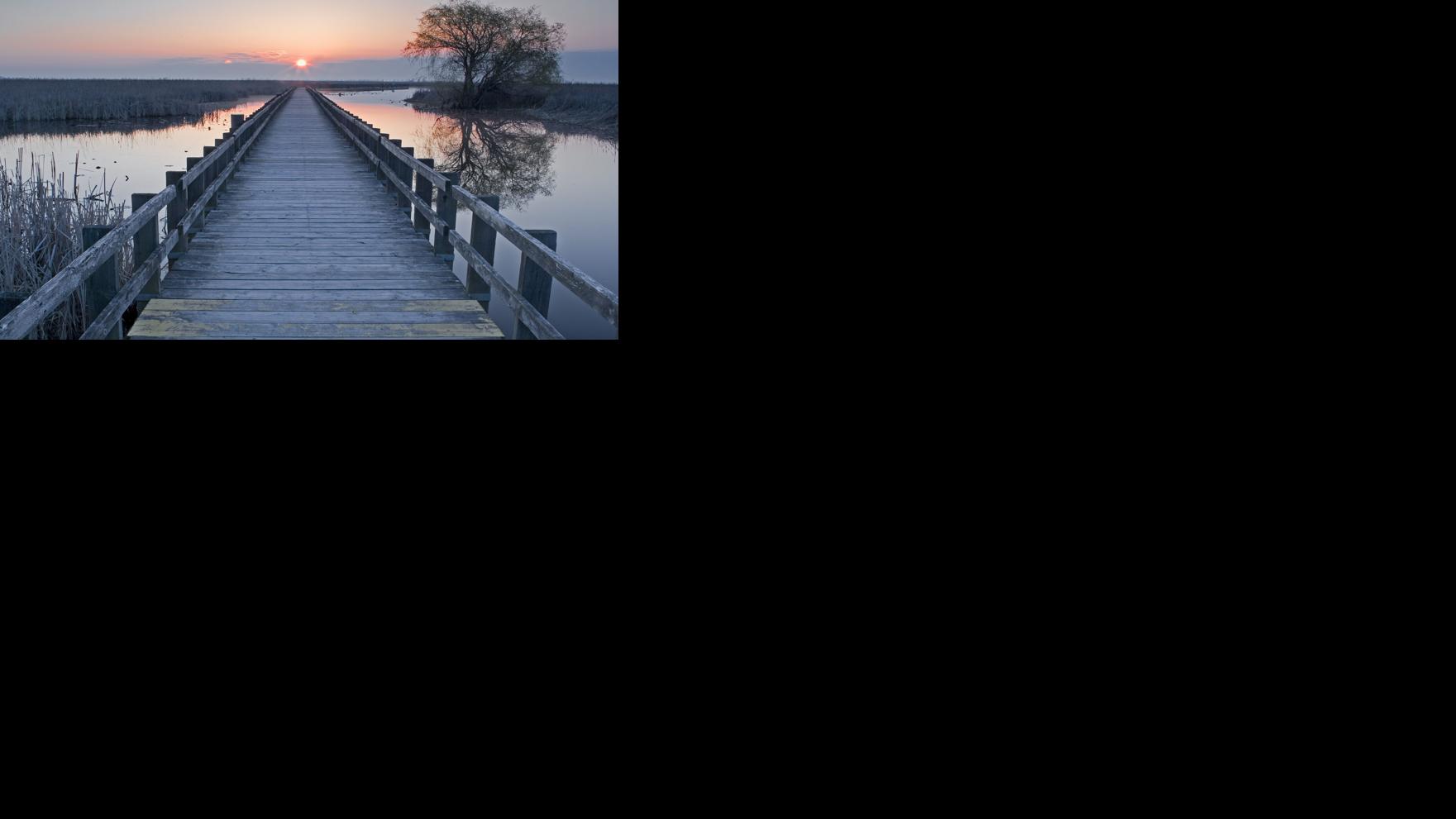 Point Pelee National Park’s boardwalk leads to a huge marsh