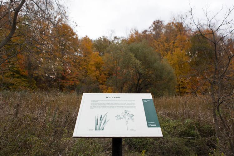 Work completed on East Don Trail