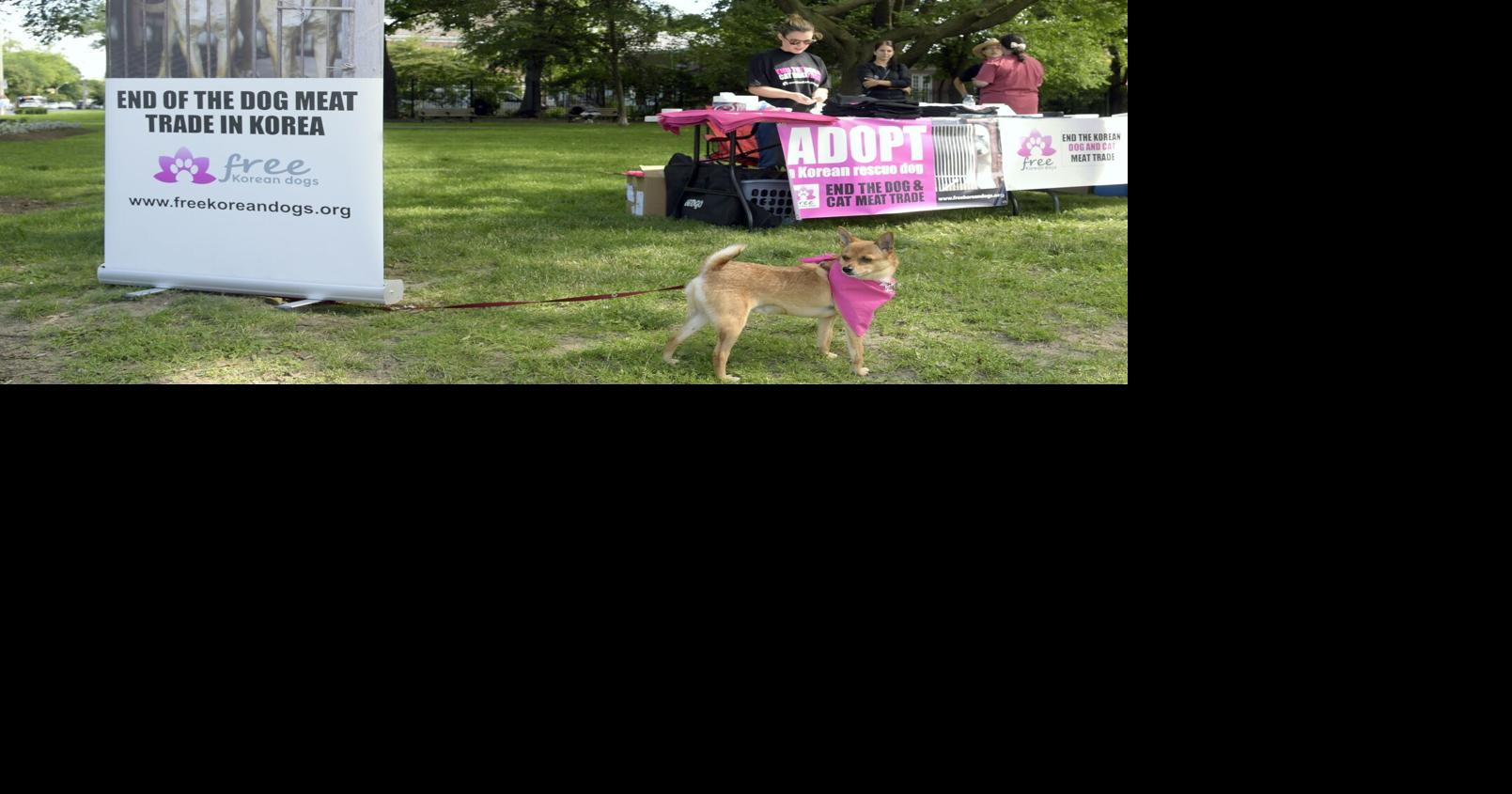 Free Korean Dogs protest in Toronto