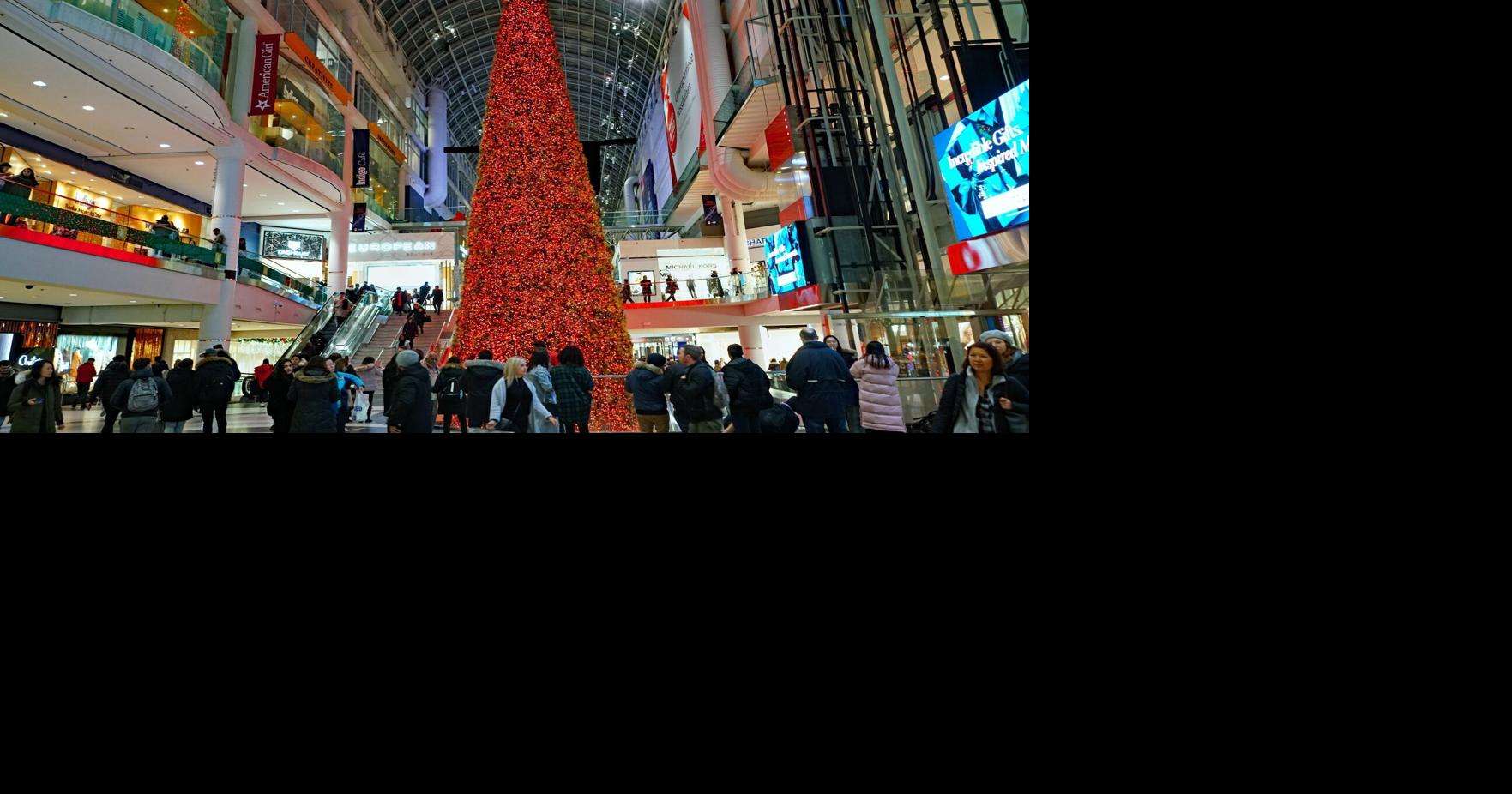 Massive Christmas tree to return to the Toronto Eaton Centre