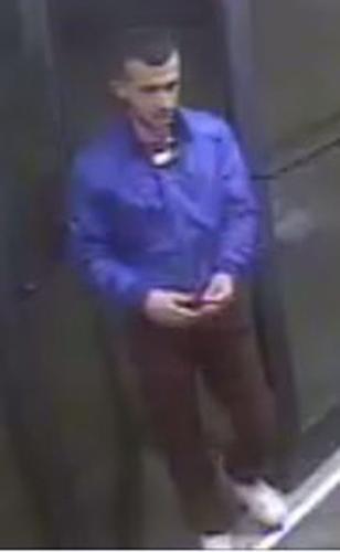 Toronto police release images of suspect in Marlee and Ridelle sex assault