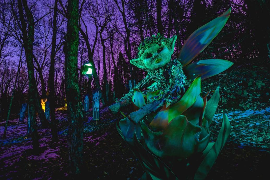 Ontario town has new, enchanting light trail in the forest