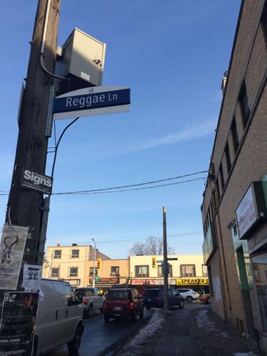 Reggae Lane selected for improvement project | News | toronto.com