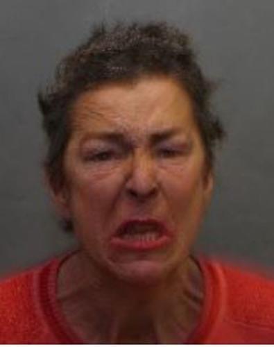 Missing woman last seen in hospital gown near Toronto Western Hospital