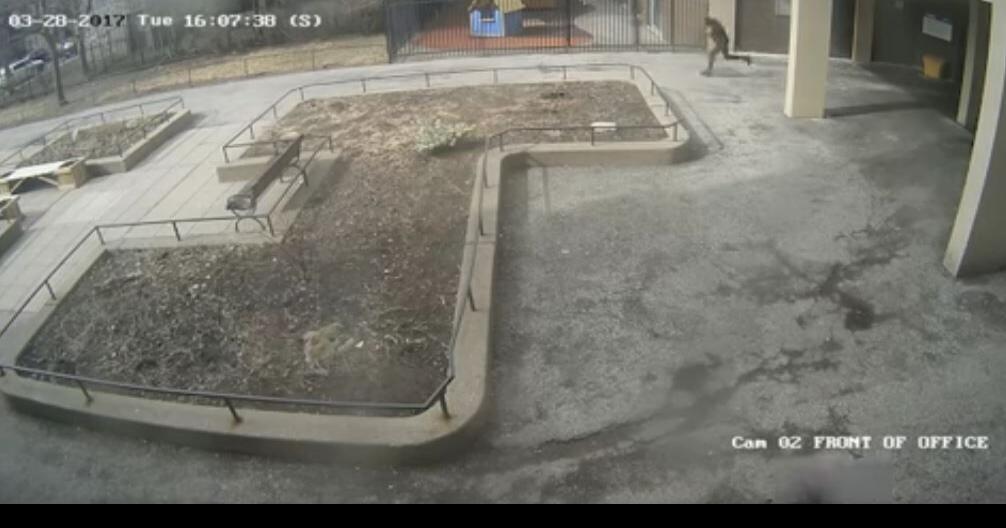 Video of suspect in Augusta Square shooting released by Toronto police ...