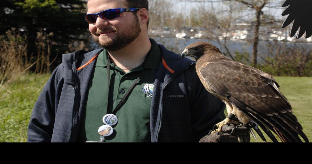Watch return of migratory birds at Etobicoke’s Col. Samuel Smith Park ...