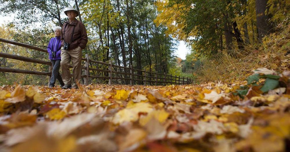 Work completed on East Don Trail