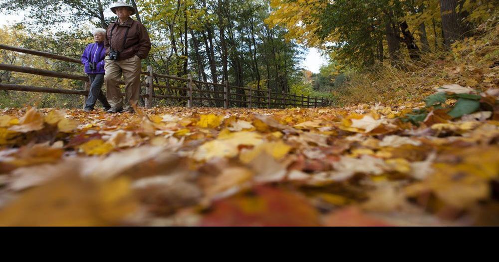 Work completed on East Don Trail | News | toronto.com