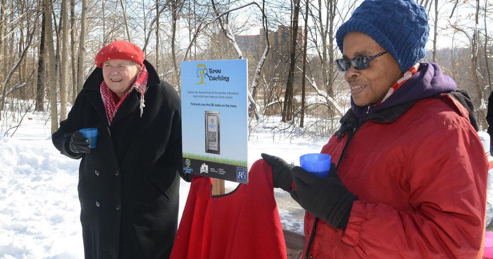 Tree QR codes encourage kids to explore nature