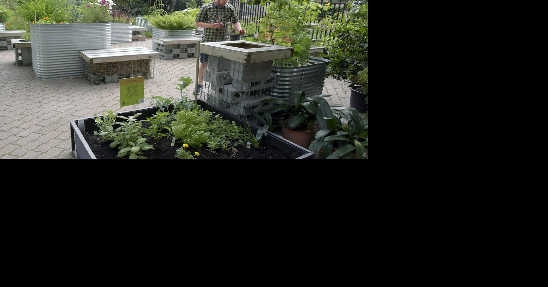 The growing city: Toronto offers urban agriculture opportunities | Life ...