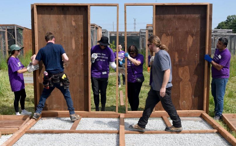 Telus volunteers help Toronto Wildlife Centre with donation and work