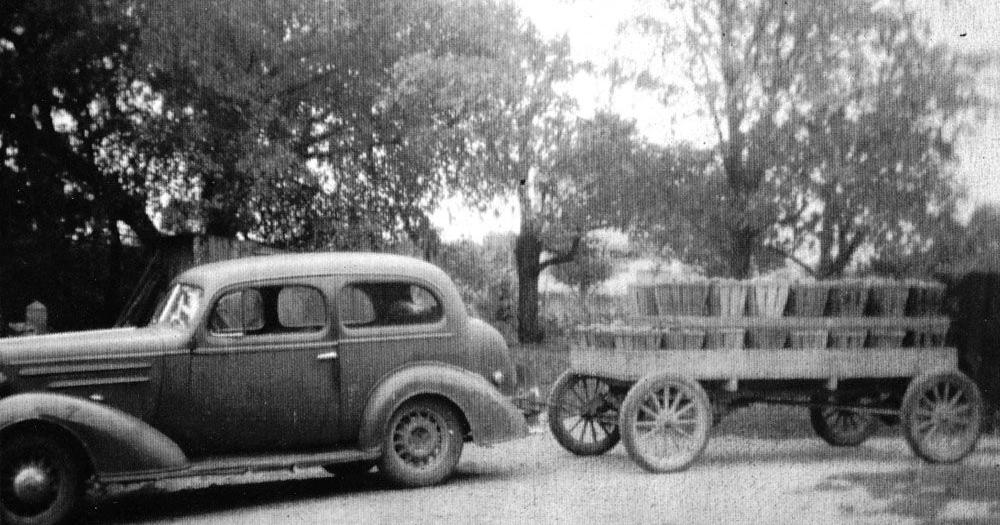 History Corner: Chapman family grew tomatoes for Campbell soup