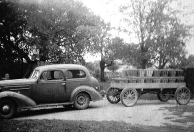 History Corner: Chapman family grew tomatoes for Campbell soup