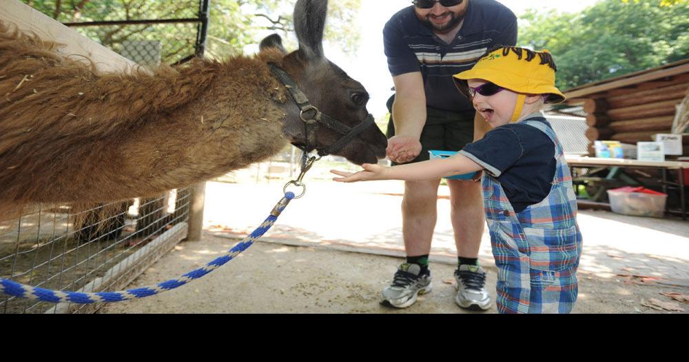 High Park Zoo supporters working on master plan | News | toronto.com