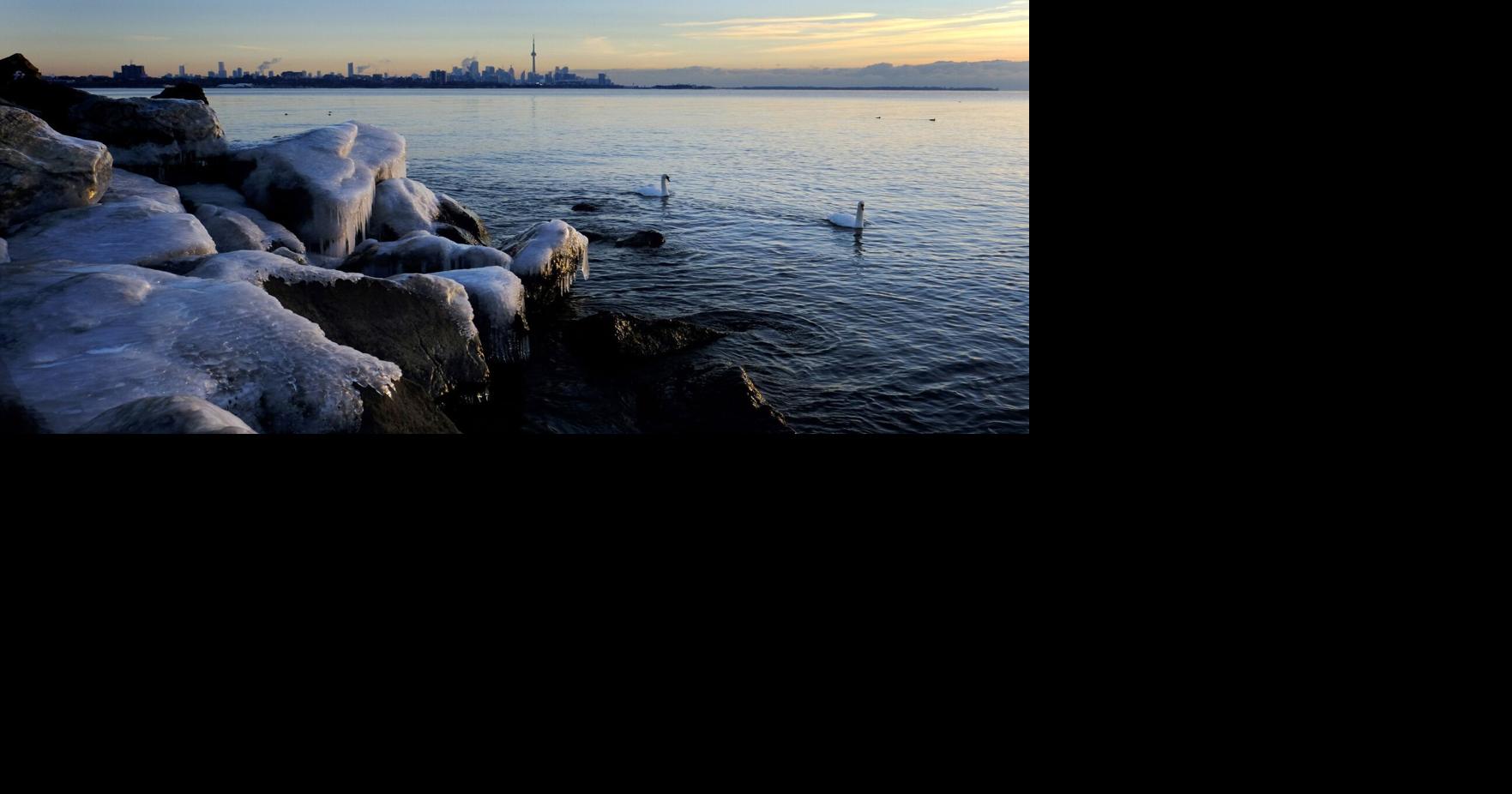 Susan Nagy: 5 things I love about the Lakeshore