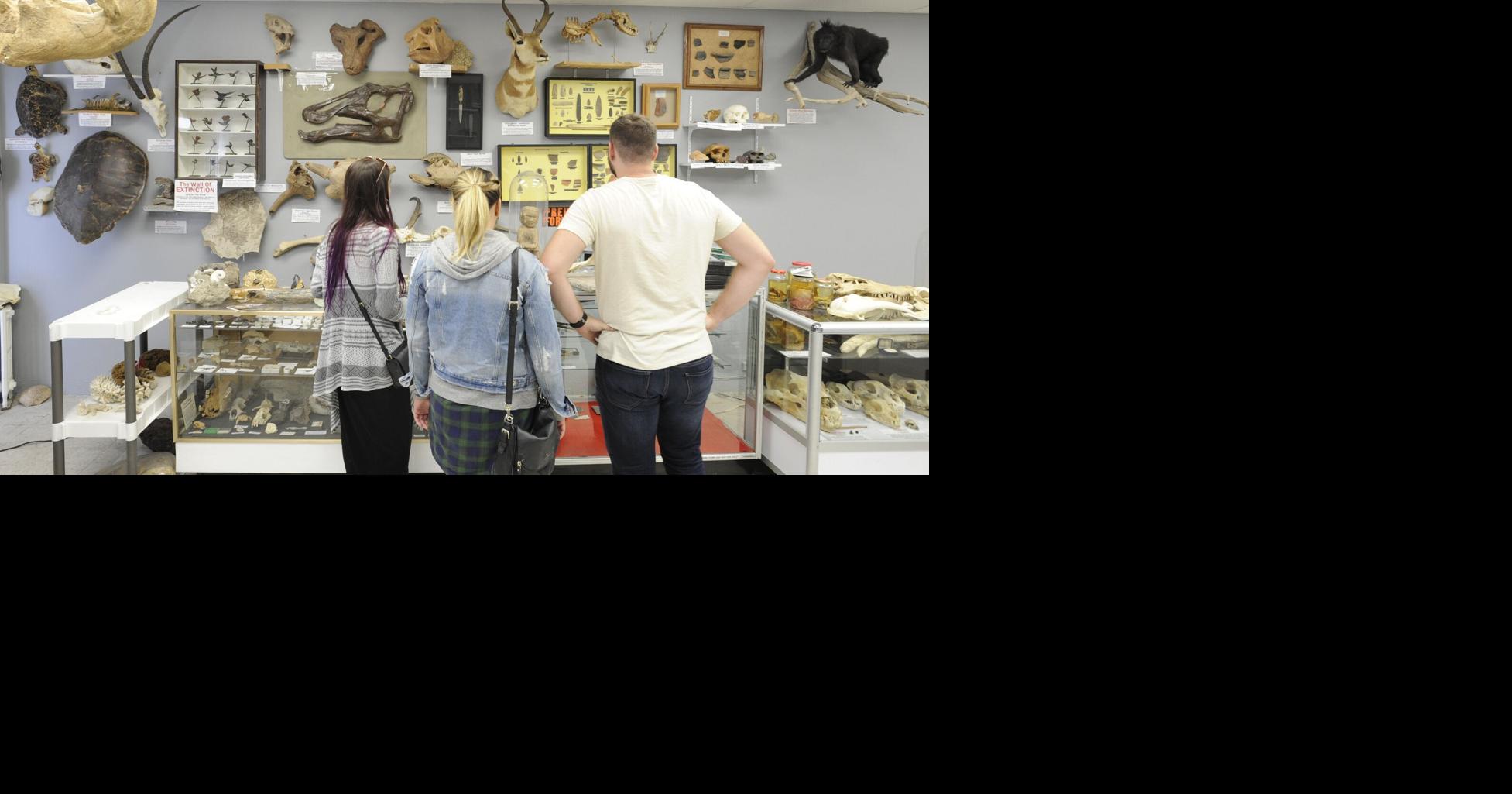 Prehistoria museum provides a hands-on look at the ancient world