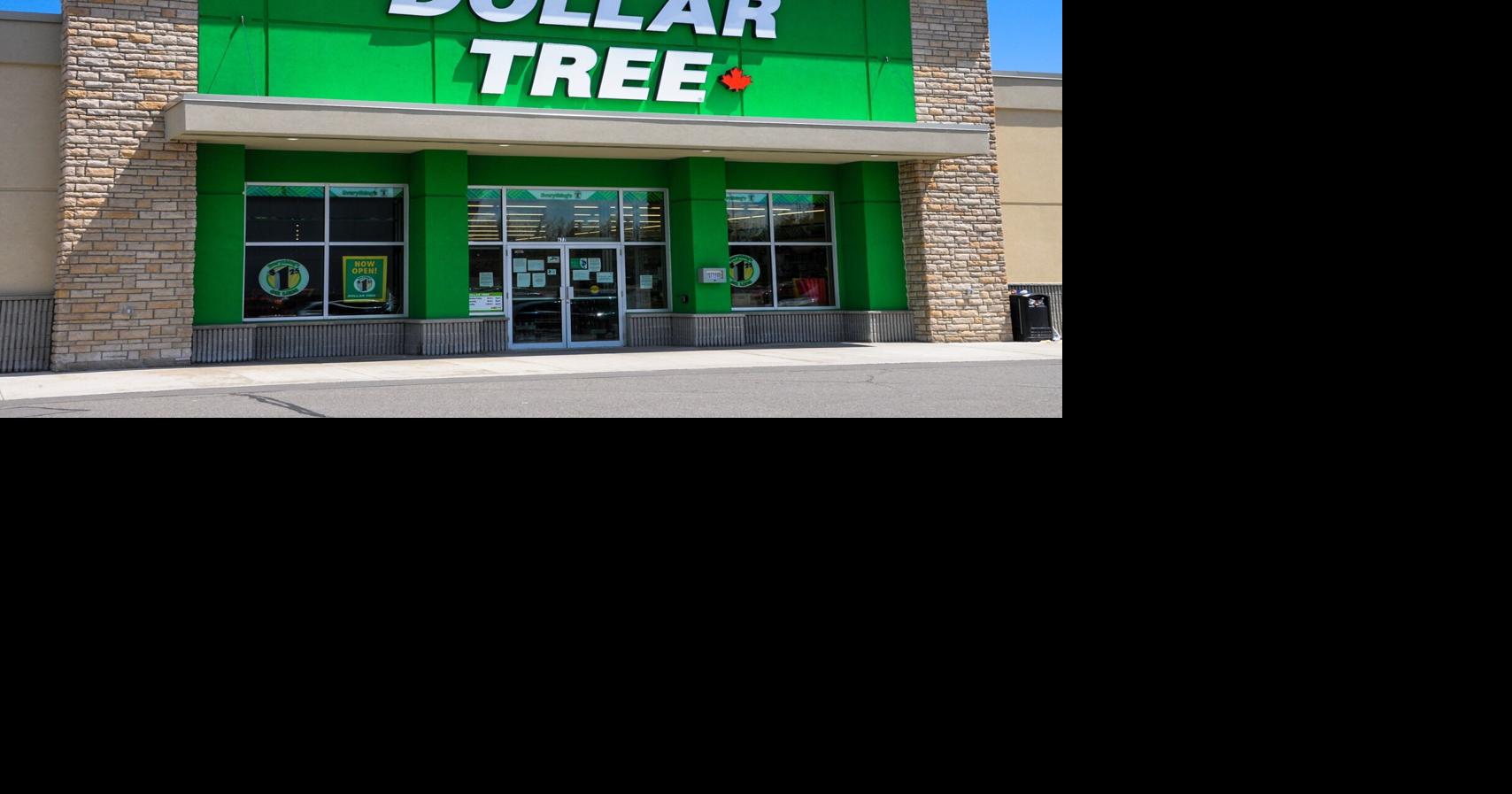 ‘Underperforming’: Will the Dollar Tree closure announcement in the U.S ...