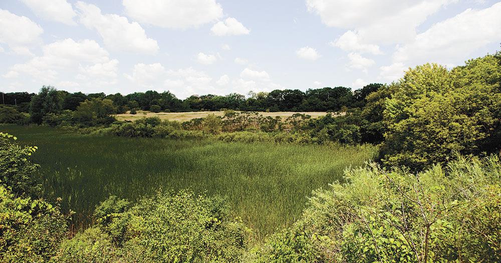Community meeting on OMB appeal of Birch Cliff Quarry Lands plan slated