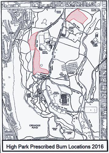 City planning controlled burn in High Park this spring