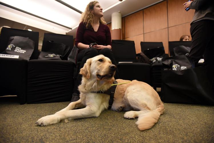 PHOTO SHOOTS: CNIB Guide Dogs announce the class of 2019