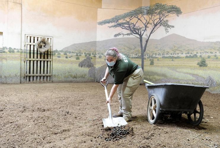 Biogas plant at Toronto Zoo turning zoo manure and food waste into power