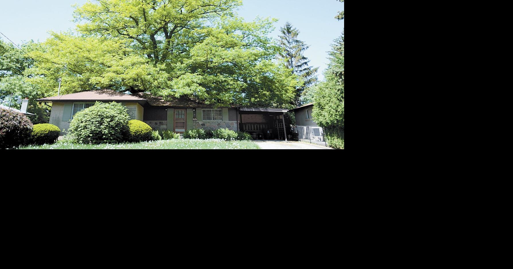 Heritage Toronto to unveil plaque for historic North York red oak tree