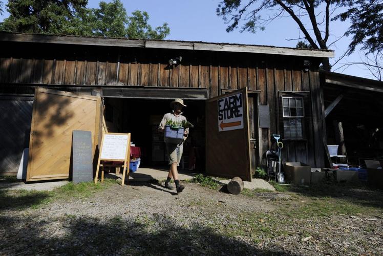 PHOTO SHOOTS: Black Creek Community Farm a place for urban agriculture