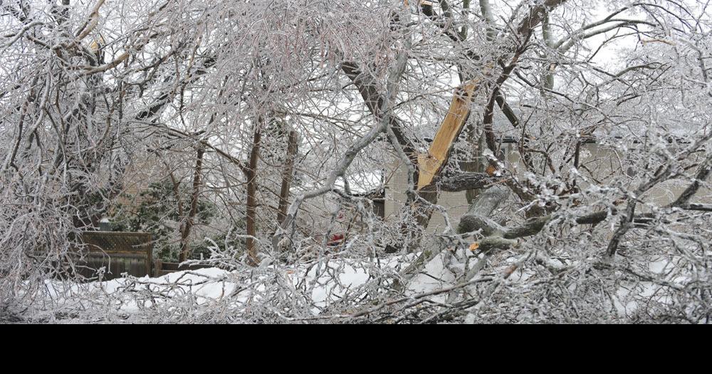 Severe situation in wake of ice storm concerns Toronto-Danforth ...
