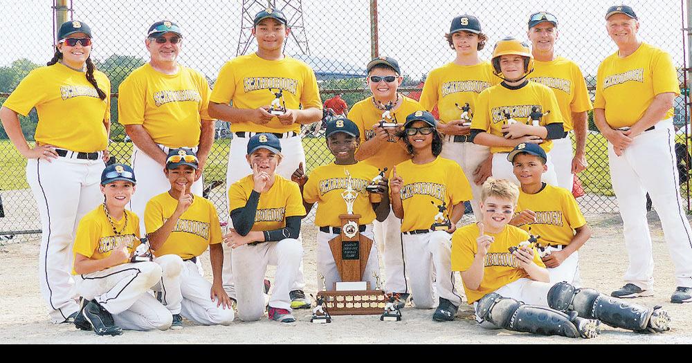Scarborough Stingers peewee AAA baseball team wins Hamilton tourney ...