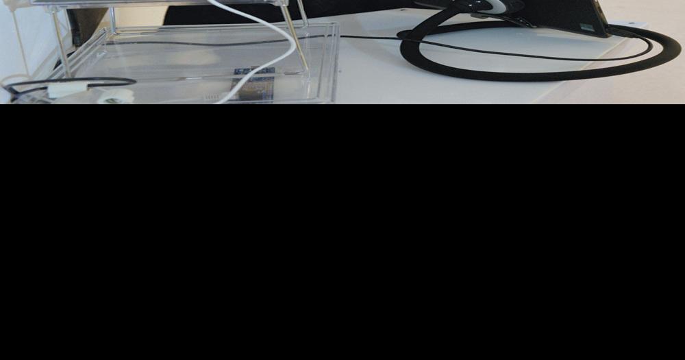 Emma Mogus, 18, wins Ontario Science Centre innovation award | Life ...