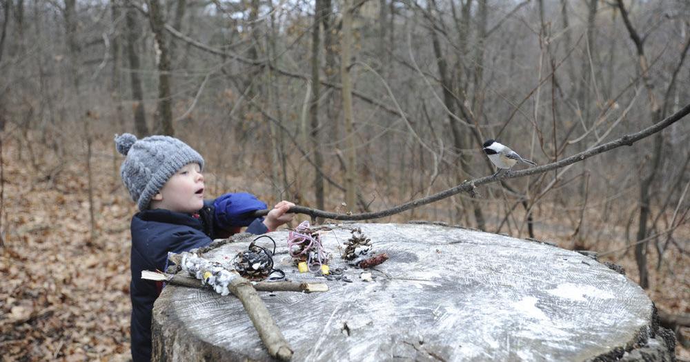 Help feed the birds in High Park