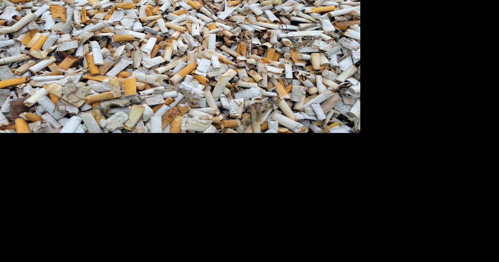 GTA non-profit sets out to pick up 1M cigarettes in one day