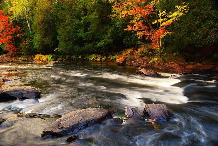 The best places in Ontario to see fall foliage at its peak