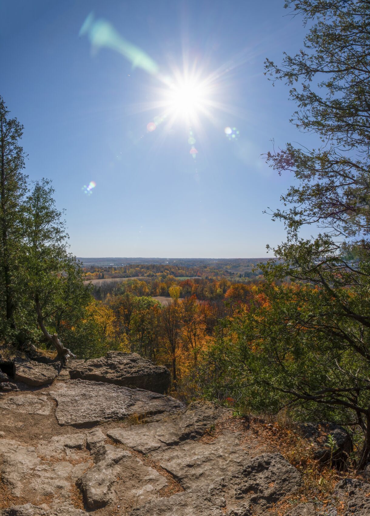 This Ontario park has ancient cedars and cliffs with views
