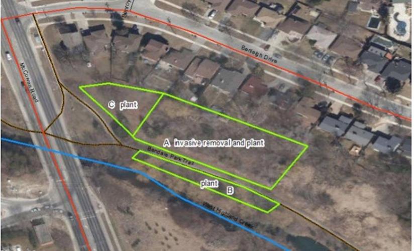 Part of Scarborough’s Bendale Park to be replanted after tree removal