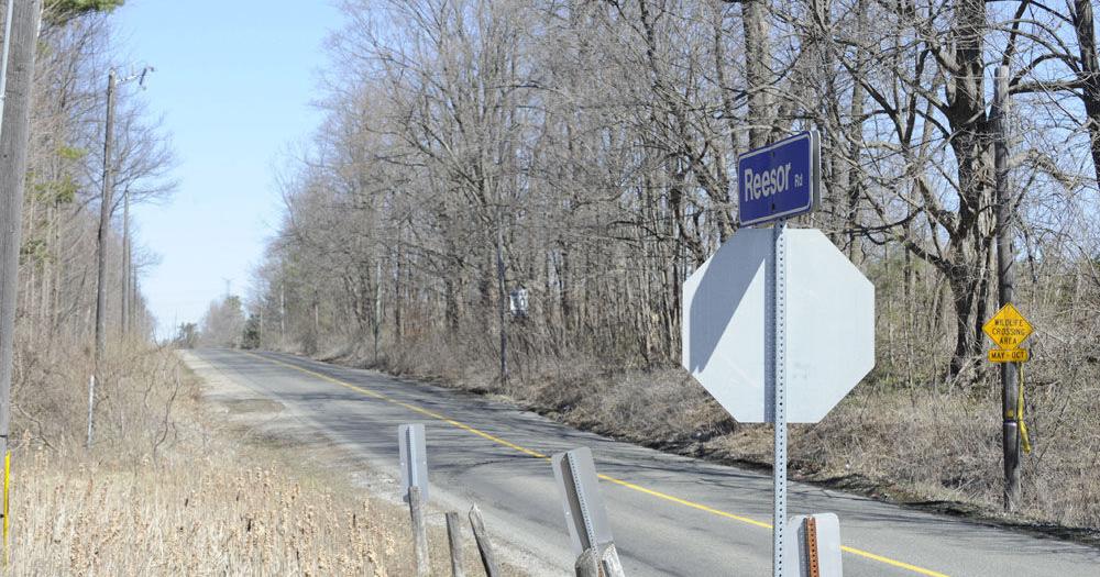 Report of headless chickens dumped at Reesor Road and Finch Avenue in ...