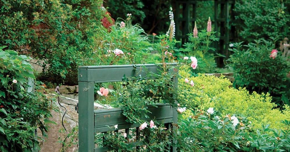 Garden tour comes to Swansea