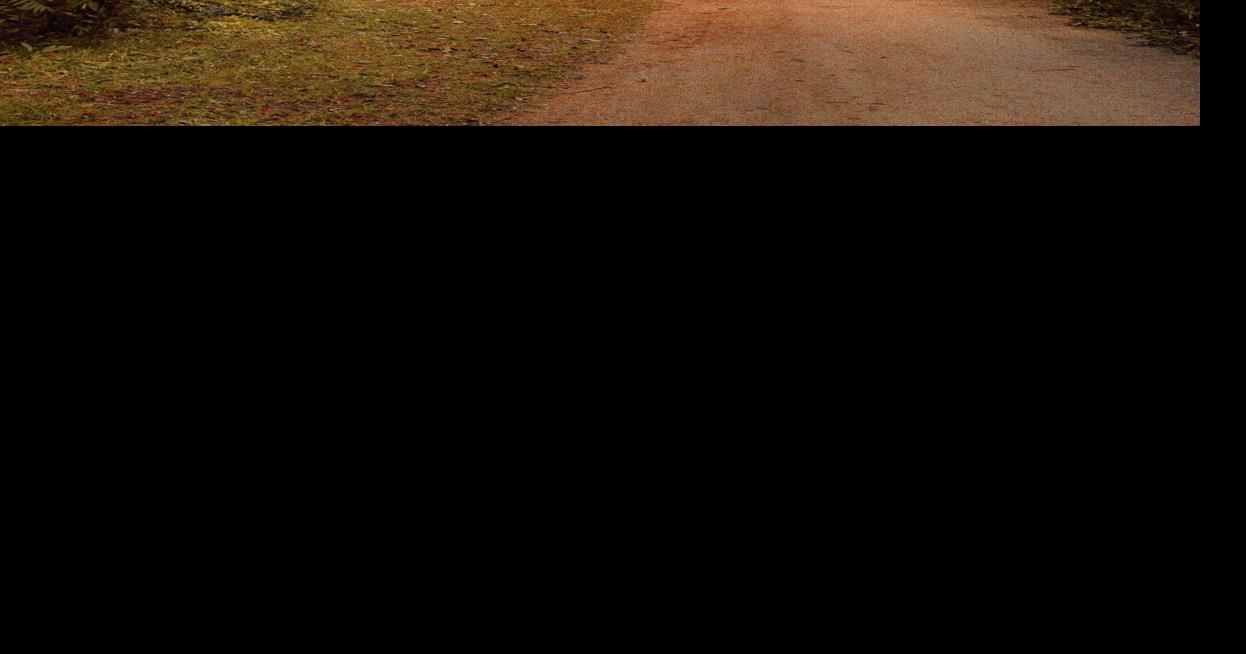 Lee James McKnight discovers the Cedarvale ravine