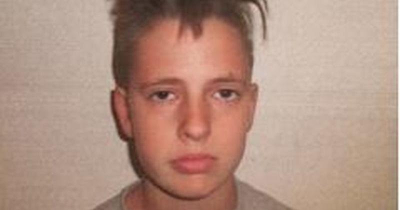 Police concerned for safety of missing boy last seen in The Annex