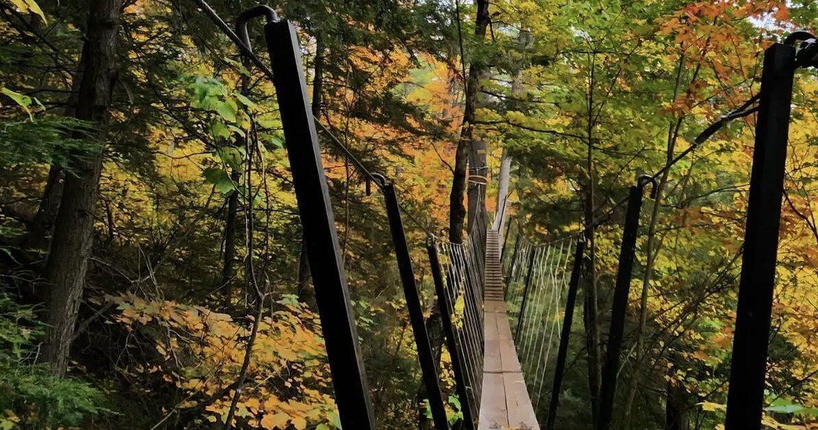 This quaint Ontario county has a canopy boardwalk