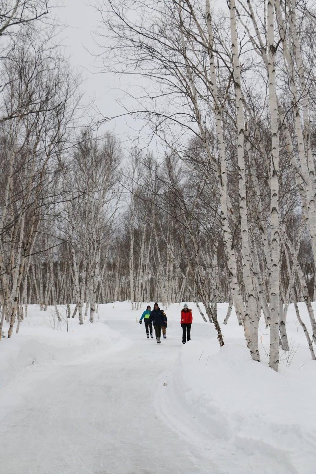 One of world’s best outdoor ice skating trails is in Ontario