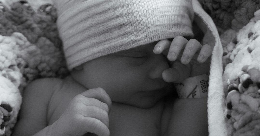 Juniper James Davenport | News | transylvaniatimes.com