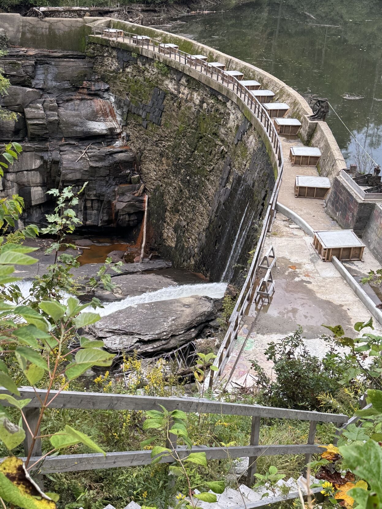 Reward offered after Cascade Lake drained | News | transylvaniatimes.com