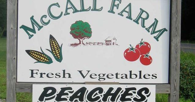 Fresh Produce Found At McCall Farm | Features | transylvaniatimes.com