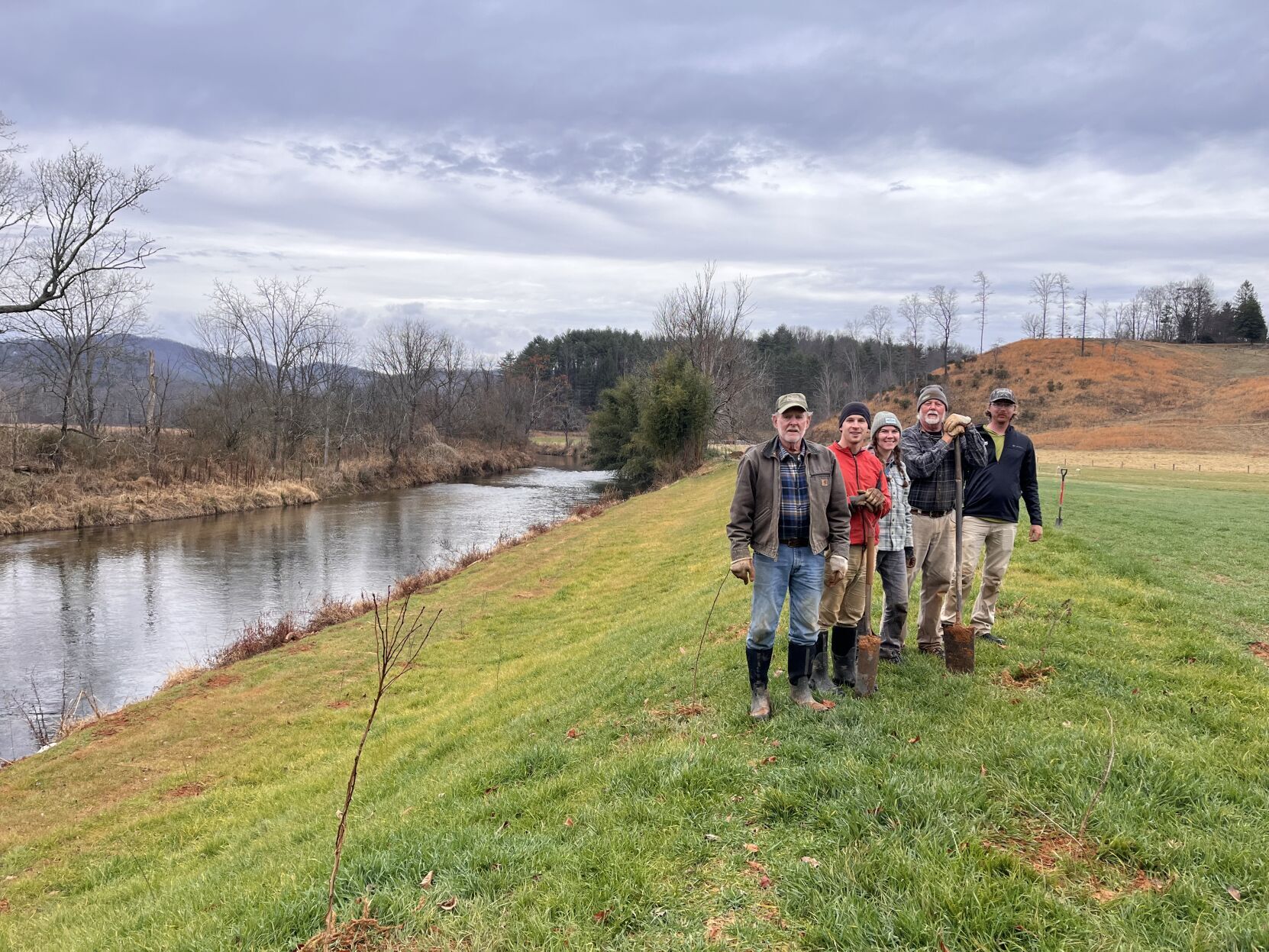 tree planting | | transylvaniatimes.com