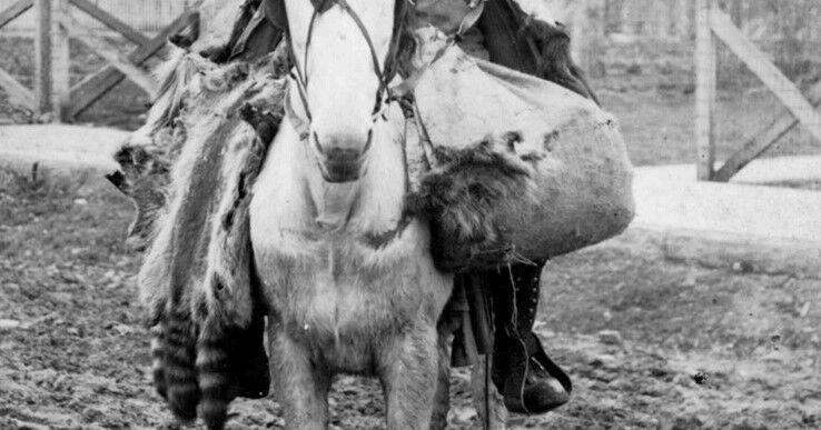 Picturing the past: Robert Dougan Siniard, fur trapper, trader ...